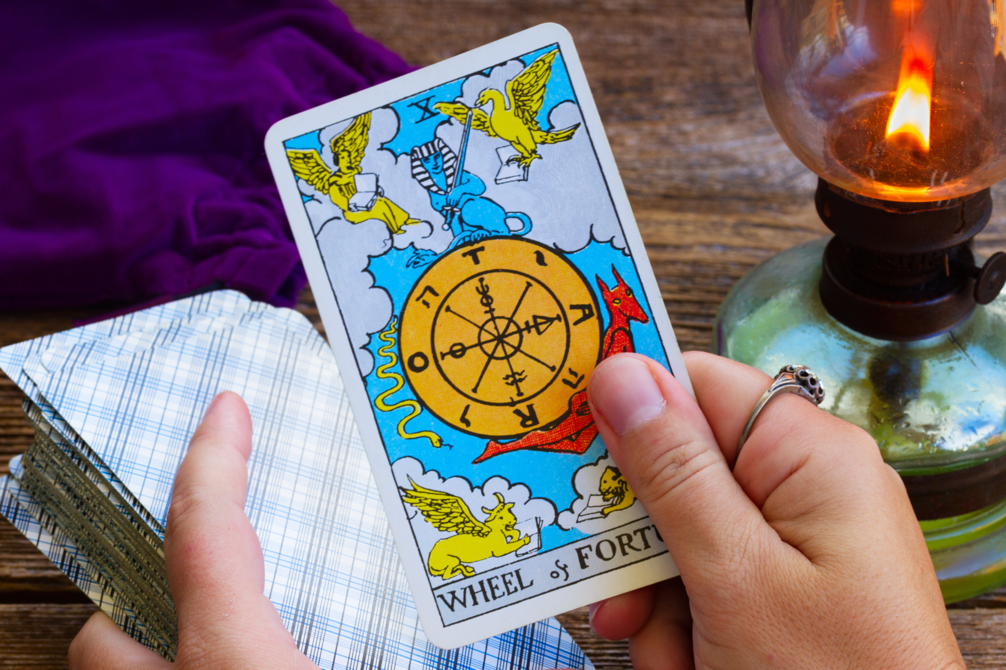 27 Symbols of Rebirth and New Beginnings