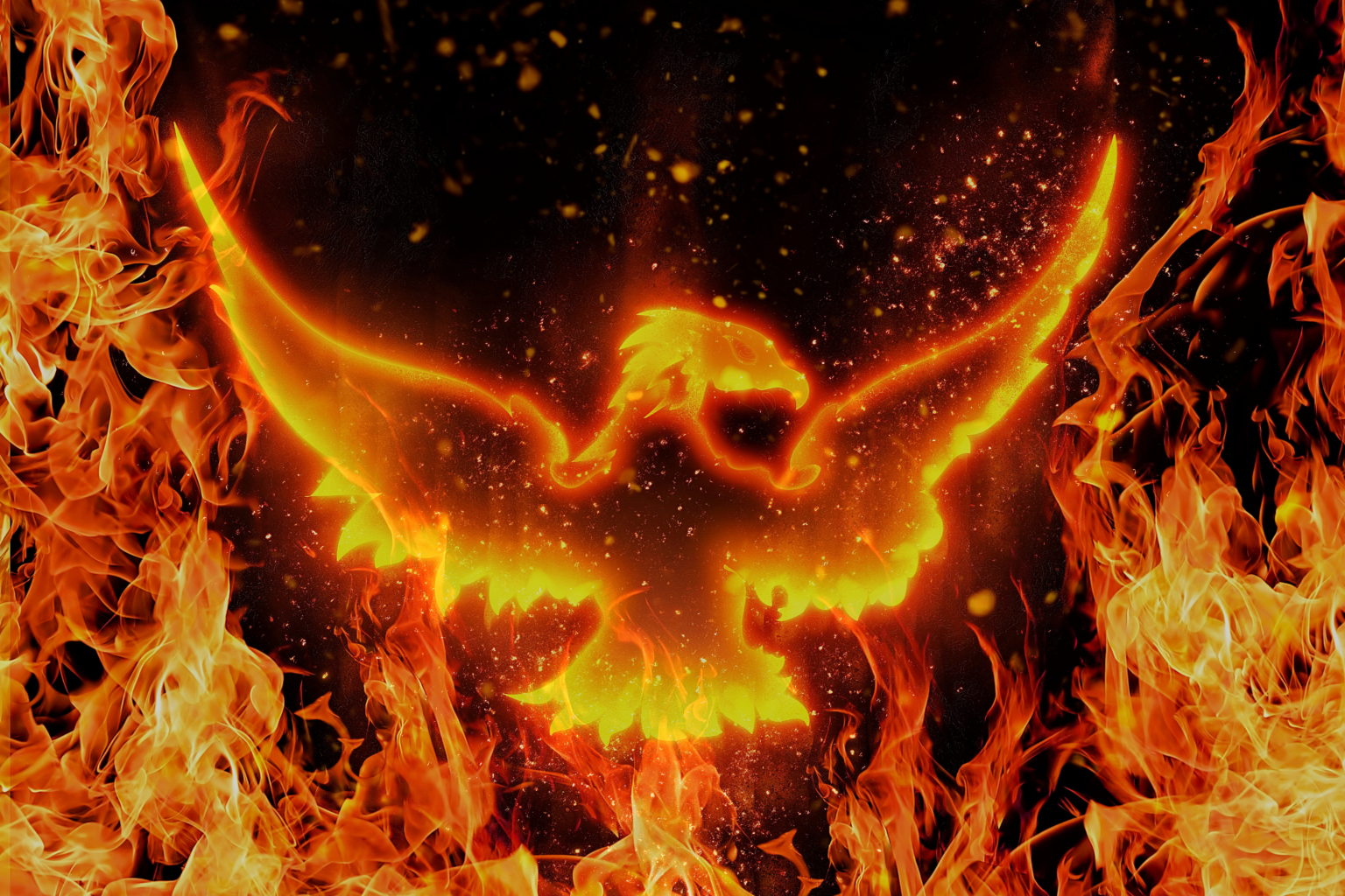 27 Symbols of Rebirth and New Beginnings