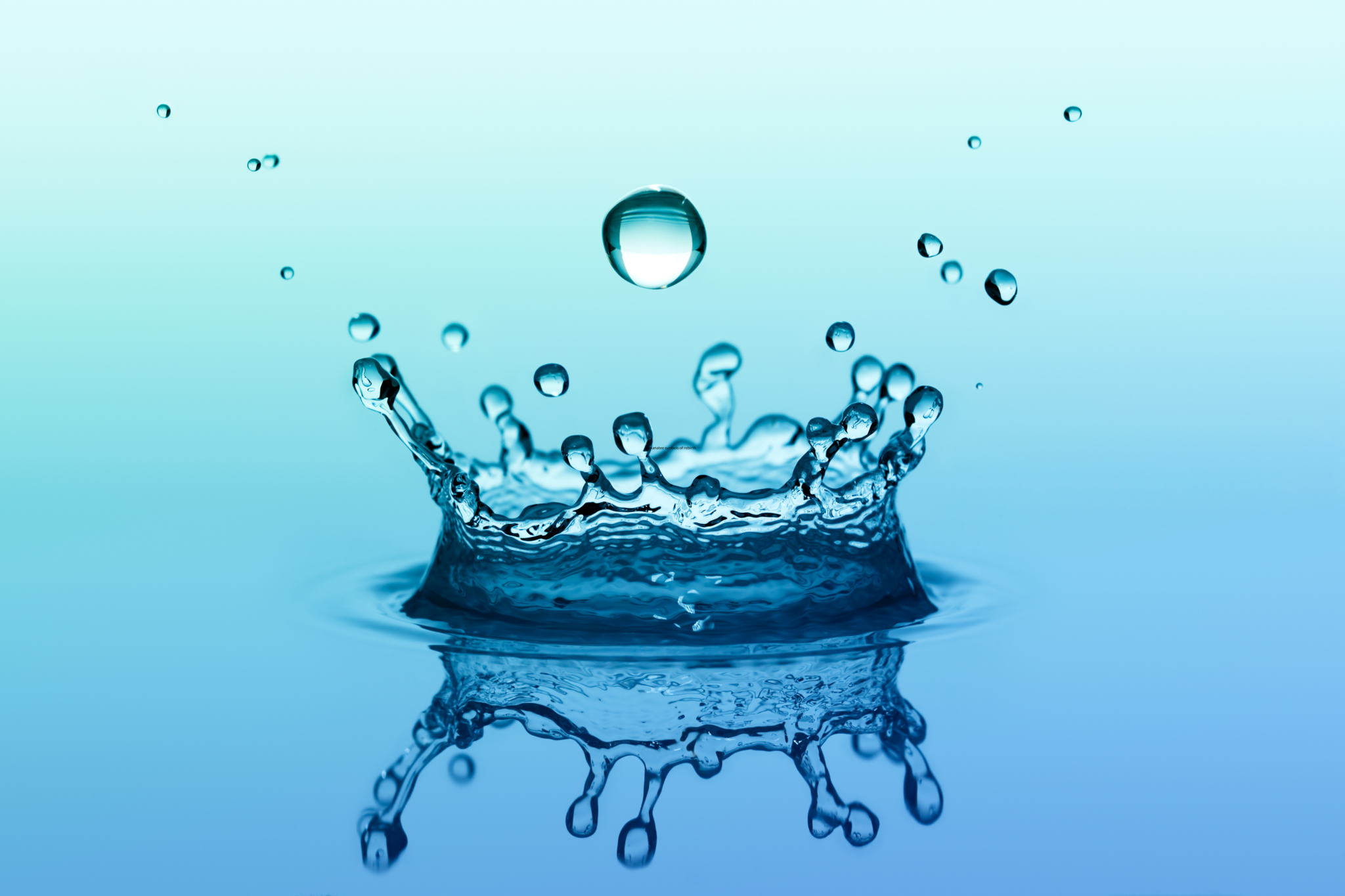 27 Symbols of Rebirth and New Beginnings